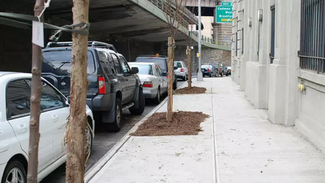 Let Us Now Praise Trees: Η Νέα Υόρκη θα αποκτήσει 1 εκατομμύριο δέντρα μέχρι το 2015 37976_0