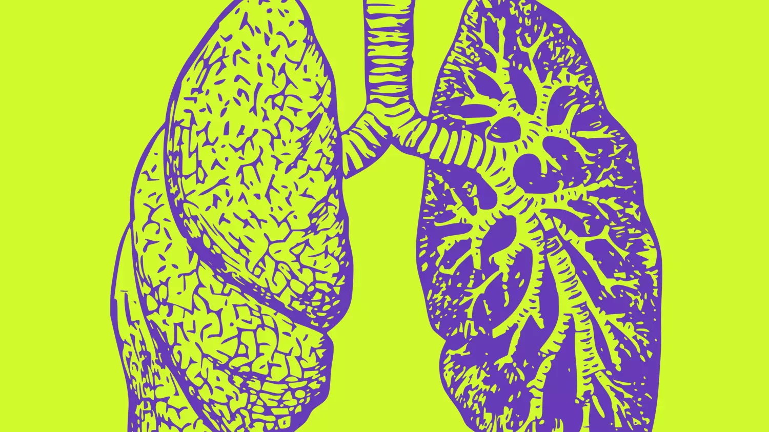 Prima mondiale: gli scienziati trapiantano con successo i polmoni coltivati in laboratorio nei maiali 38113_0