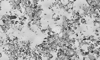 La découverte du plus ancien fossile de la Terre suggère une vie ailleurs dans notre système solaire 38298_3