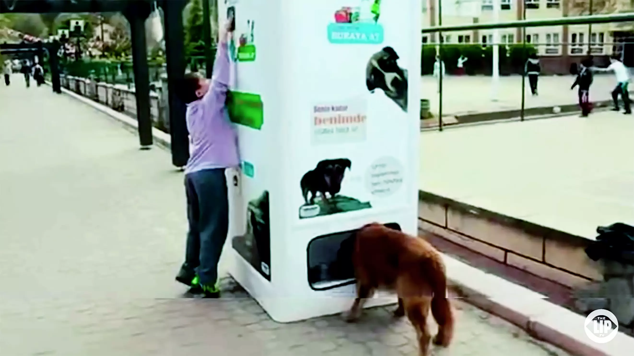 A papeleira transforma botellas recicladas en alimento para os animais que amamos 38365_0