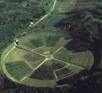 没有转基因？怎么样帮助辐照突变植物和蔬菜呢？ 38463_1