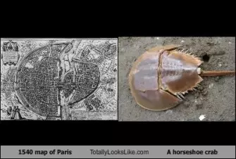 494 - C'est un monde à nez de chien : la cartographie accidentelle revisitée 39649_38