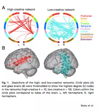 Le cerveau des personnes créatives est câblé de manière unique, selon des scientifiques 3975_3