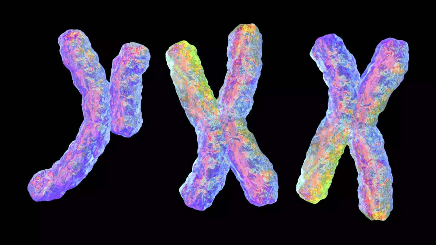 Kejutan! Kromosom Tambahan Mungkin Menghalang Anda Daripada Mendapat Kanser