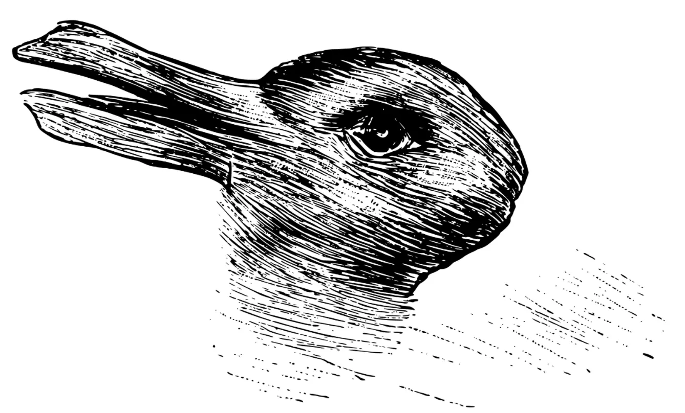 鴨子可以成為兔子嗎？維特根斯坦與哲學 4203_1