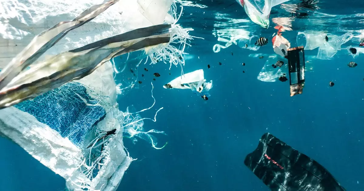 플라스틱을 먹는 박테리아가 해양 플라스틱 오염 문제를 해결하지 못한 이유는 무엇입니까?