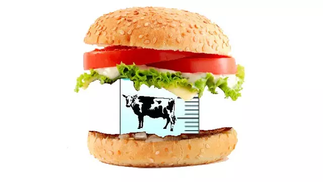Frankenmeat : faire pousser un hamburger dans une boîte de Pétri 43351_0