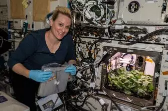 Ukendte bakterier fundet levende på den internationale rumstation 4531_4