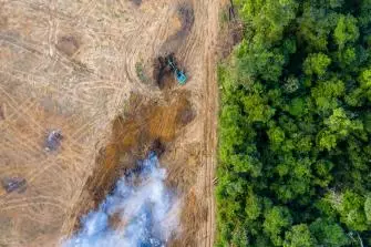 NASAからあなたのテーブルへ：薄い空気からの食物の歴史 4532_5