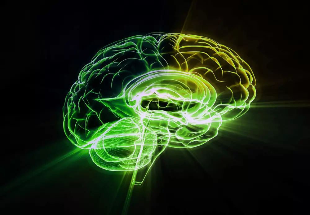 A neuroplasticidade e o exercicio manterán o teu cerebro novo e dinámico 48828_0