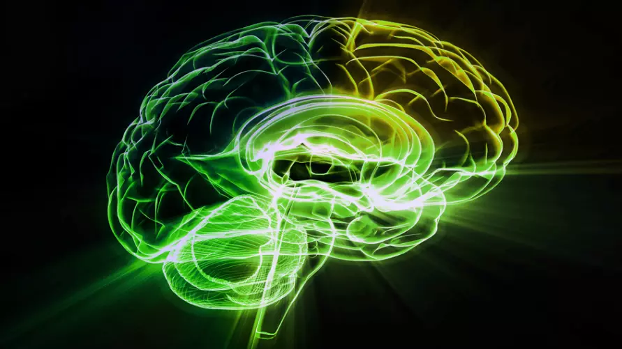 Huy động vốn cộng đồng cho phép nghiên cứu đột phá về bộ não trên LSD 48953_1