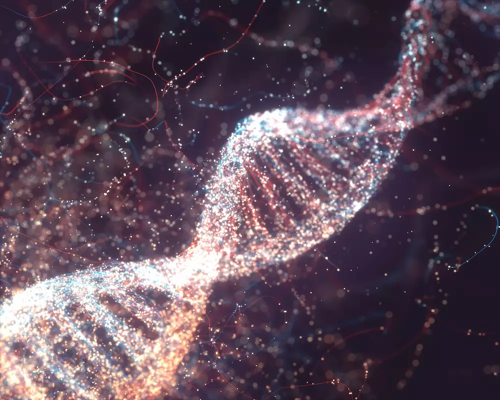 The Genetic Lottery: Wêrom DNA Matters foar sosjale gelikensens