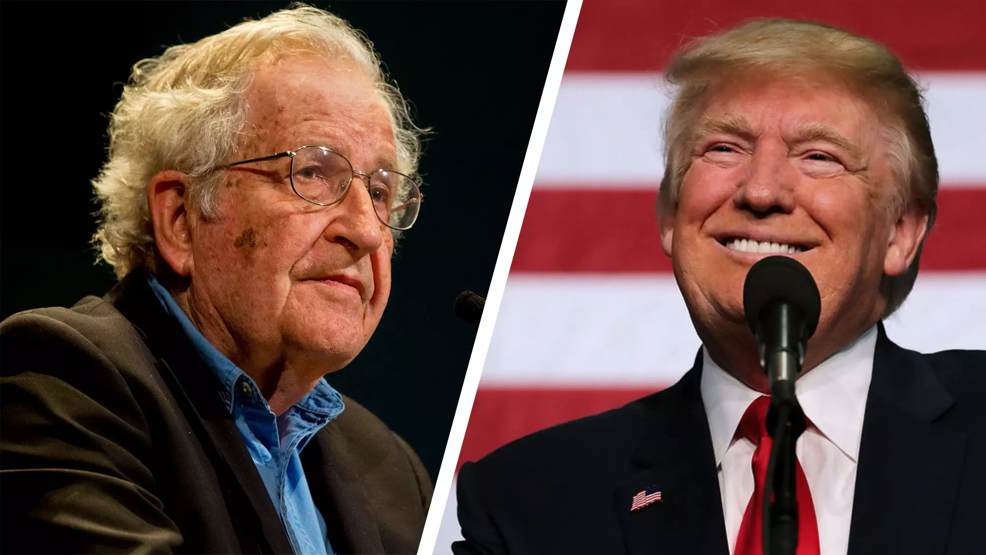 Dywed Noam Chomsky fod Trump a'i gymdeithion yn 'wallgof yn droseddol' 49404_1
