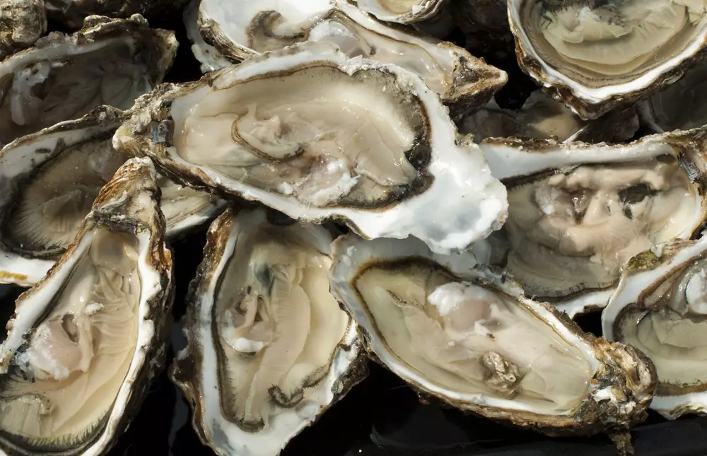 Unta Naa Koy Pila ka Oysters: Ang Bili sa Natural nga Kapital 50718_0