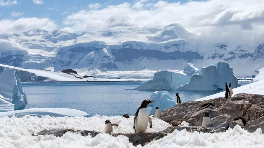 איך מנהיגות היא כמו חקר אנטארקטיקה