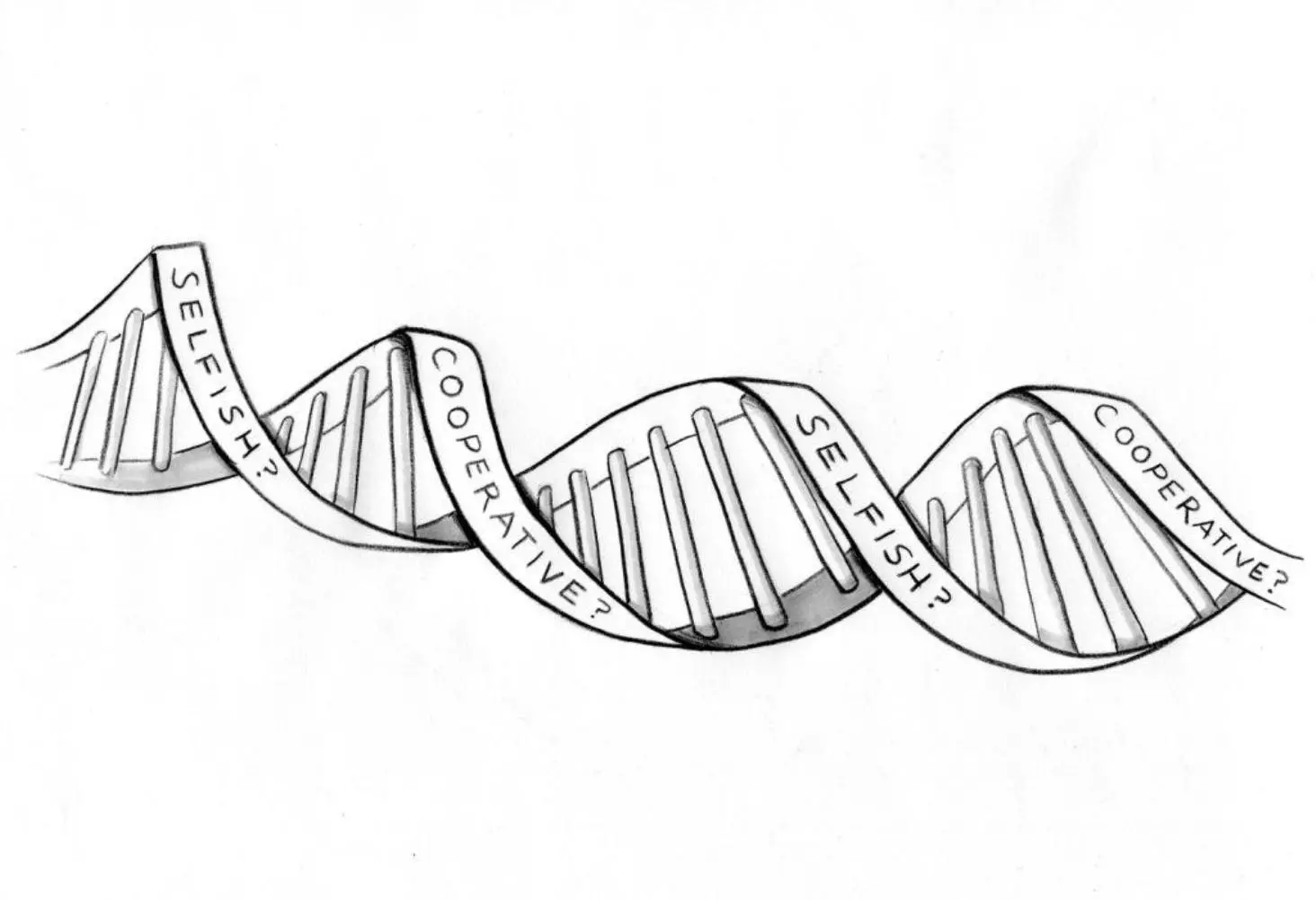 Wese Anozvida Gene Anofanirawo Kubatirana 55201_0