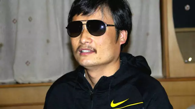Chinese Gadfly: Chen Guangcheng en het dilemma van de dissident 58437_0