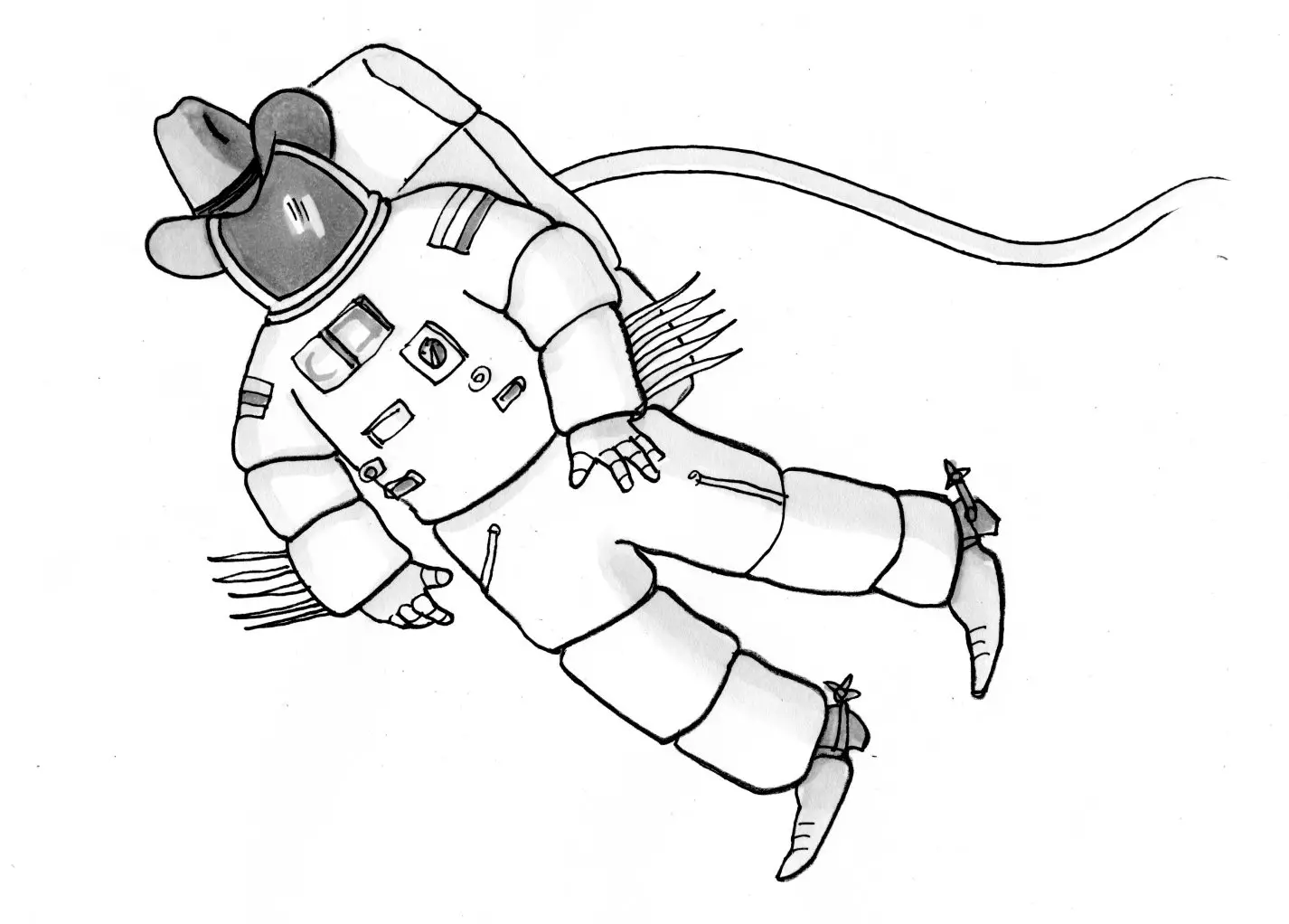 Astronaut vs. Cowboy Ethics 59661_0