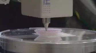 5 Schritte zu einem 3D-gedruckten Augapfel 62850_7