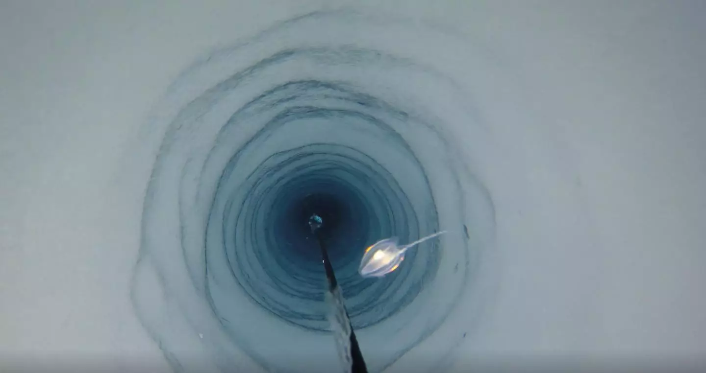 Ongewone wezens ontdekt onder een Antarctische ijsplaat 6520_1