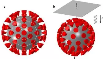 MIT-studie viser at ultralydvibrasjoner kan drepe koronaviruset 6558_2