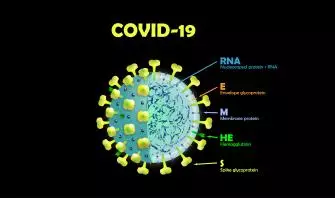 Ang pag-aaral ng MIT ay nagpapakita na ang ultrasound vibrations ay maaaring pumatay ng coronavirus 6558_3