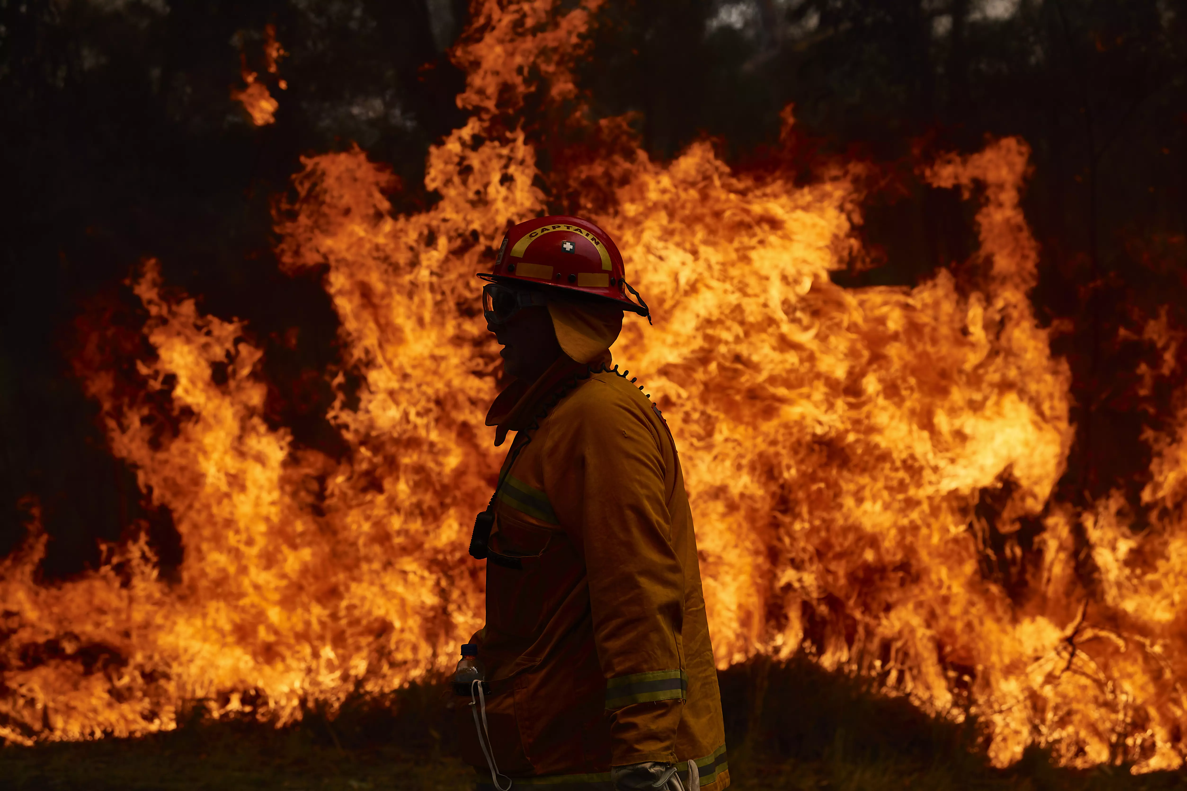 Aquí hi ha 3 causes principals dels incendis forestals i 3 maneres de prevenir-los 6683_1