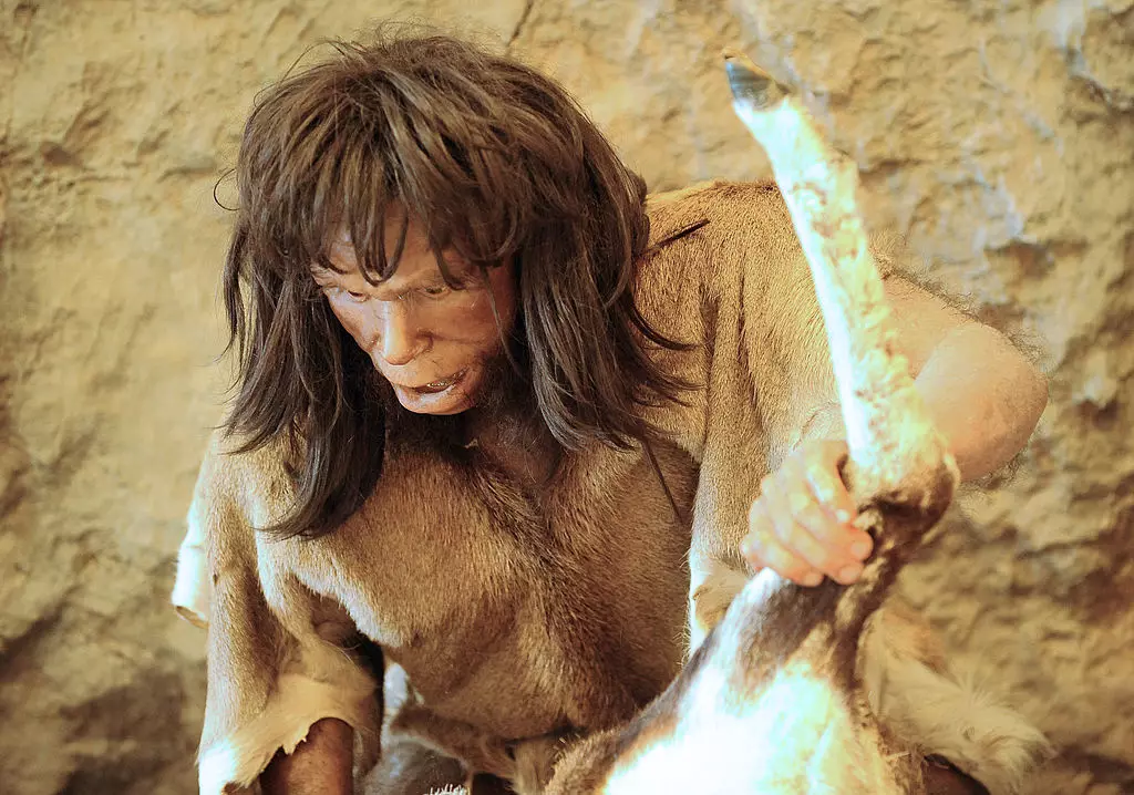 Neanderthals သည် 'surfer's နား' ကိုရရှိထားကြောင်းသက်သေပြချက်အသစ် 6761_1