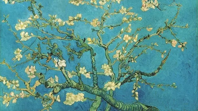 ហេតុអ្វីបានជា Van Gogh ត្រៀមខ្លួនសម្រាប់ការជិតស្និទ្ធរបស់គាត់។ 68498_0