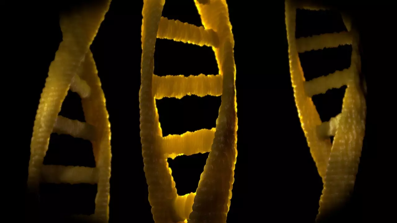 «Цёмная ДНК» мяняе наш погляд на эвалюцыю 6964_0