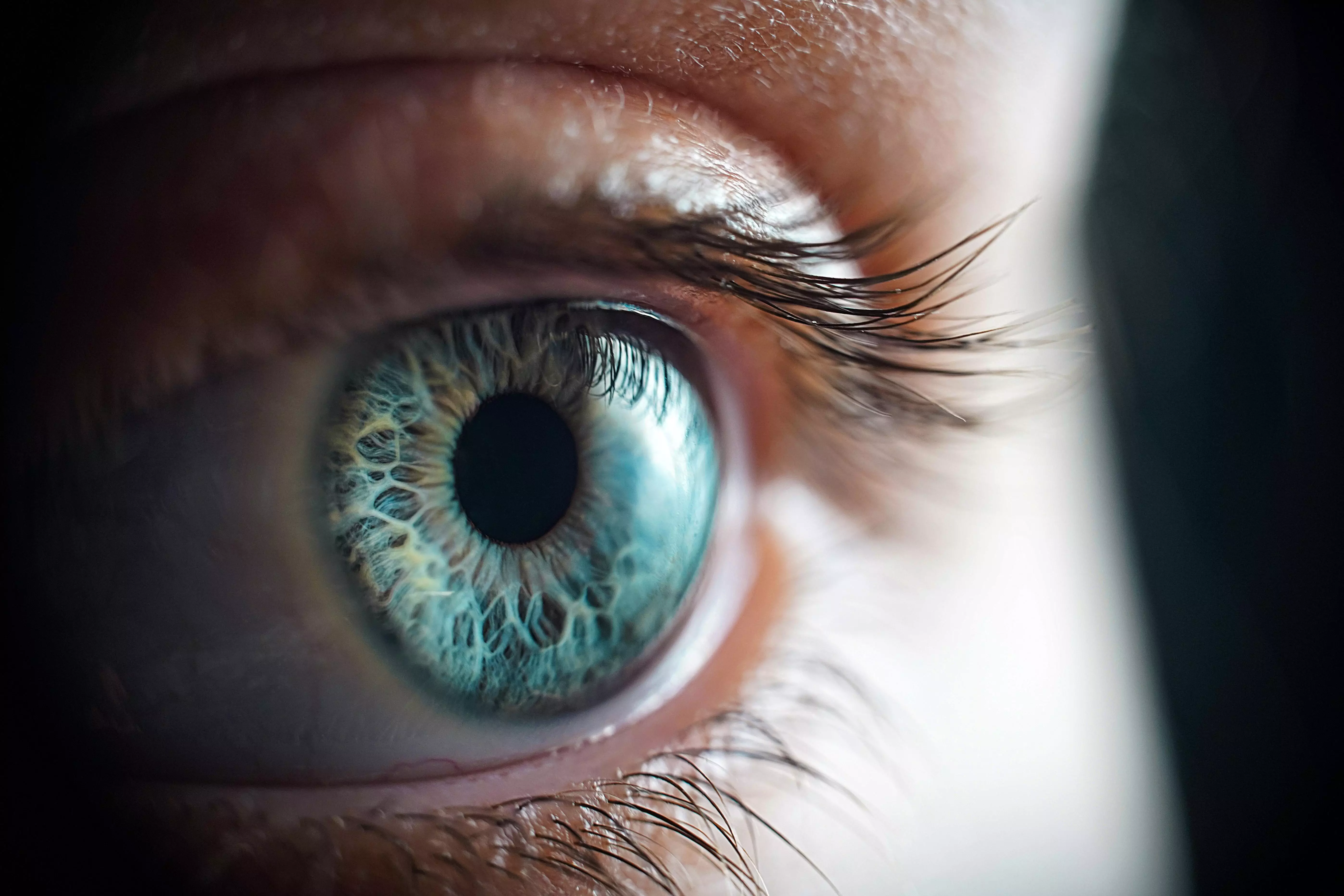 A pupilla mérete meglepően összefügg az intelligencia különbségeivel 7099_1