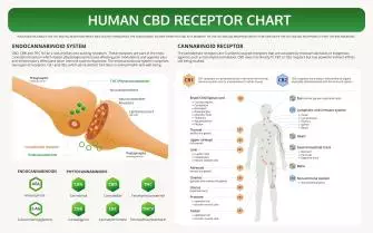 I-CBD ihlinzeka ngokukhululeka kobuhlungu ngemiphumela yemithi kanye ne-placebo 7440_2