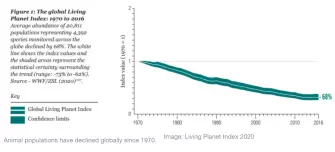 9 dos fatos mais chocantes sobre a extinção global - e como pará-la 7503_2