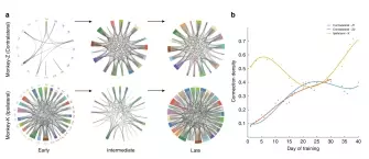 Le scimmie amputate controllano mentalmente le braccia robotiche 7532_6