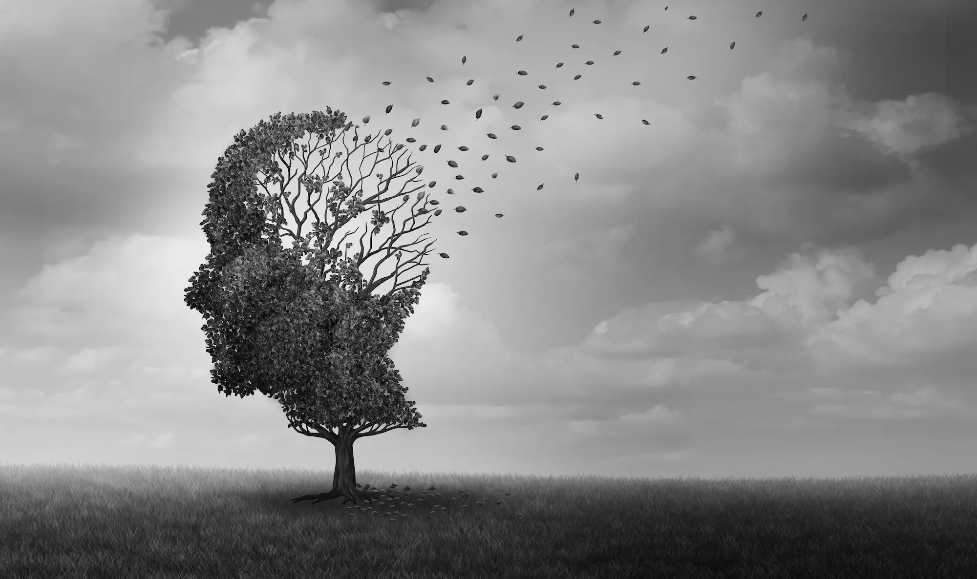 Amerikalıların yalnız 35 faizi Alzheimer xəstəliyinin əlamətlərini bilir 8448_1