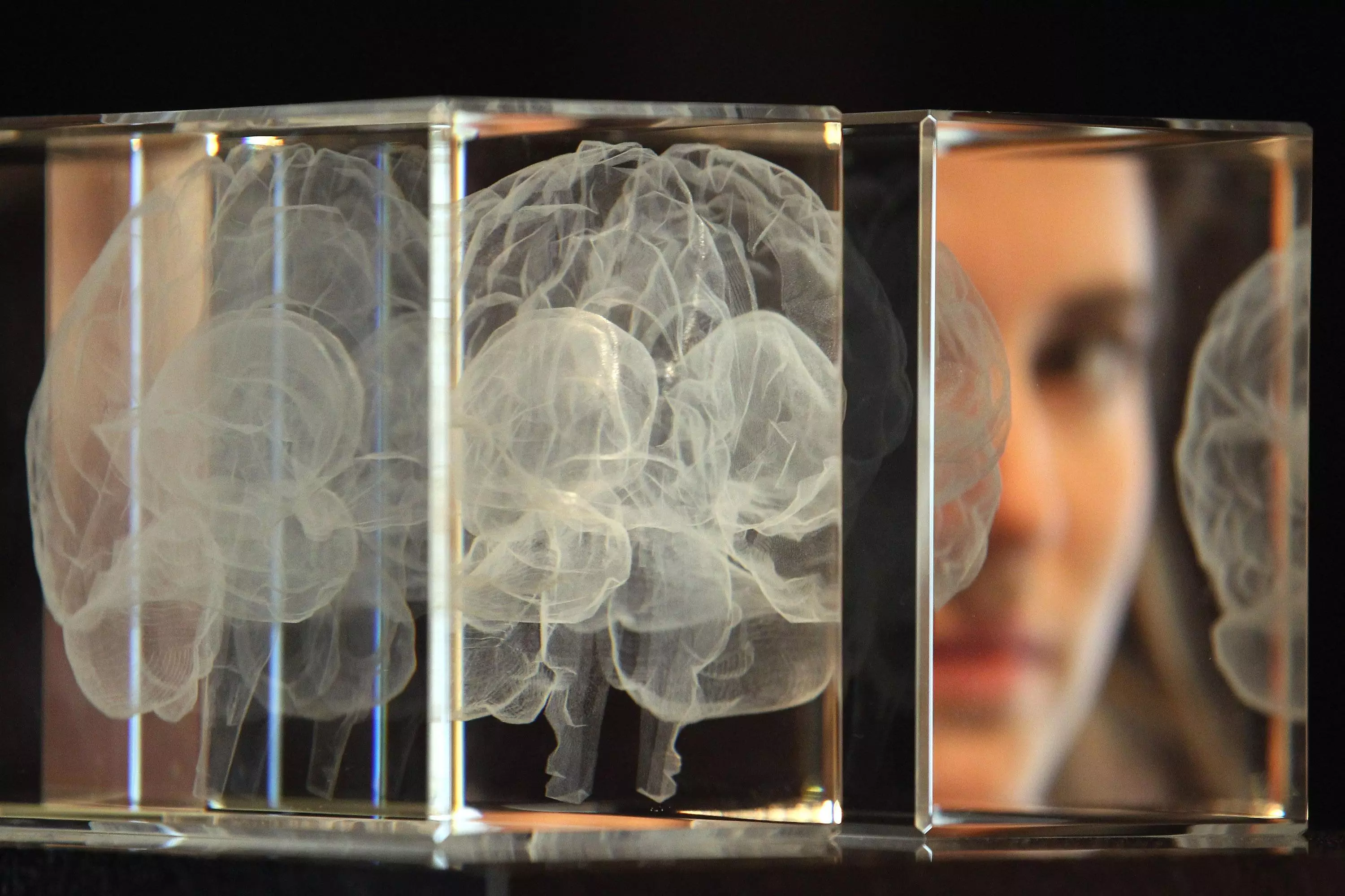 გონება და ღმერთი: ნეიროთეოლოგიის ახალი მეცნიერება 846_1